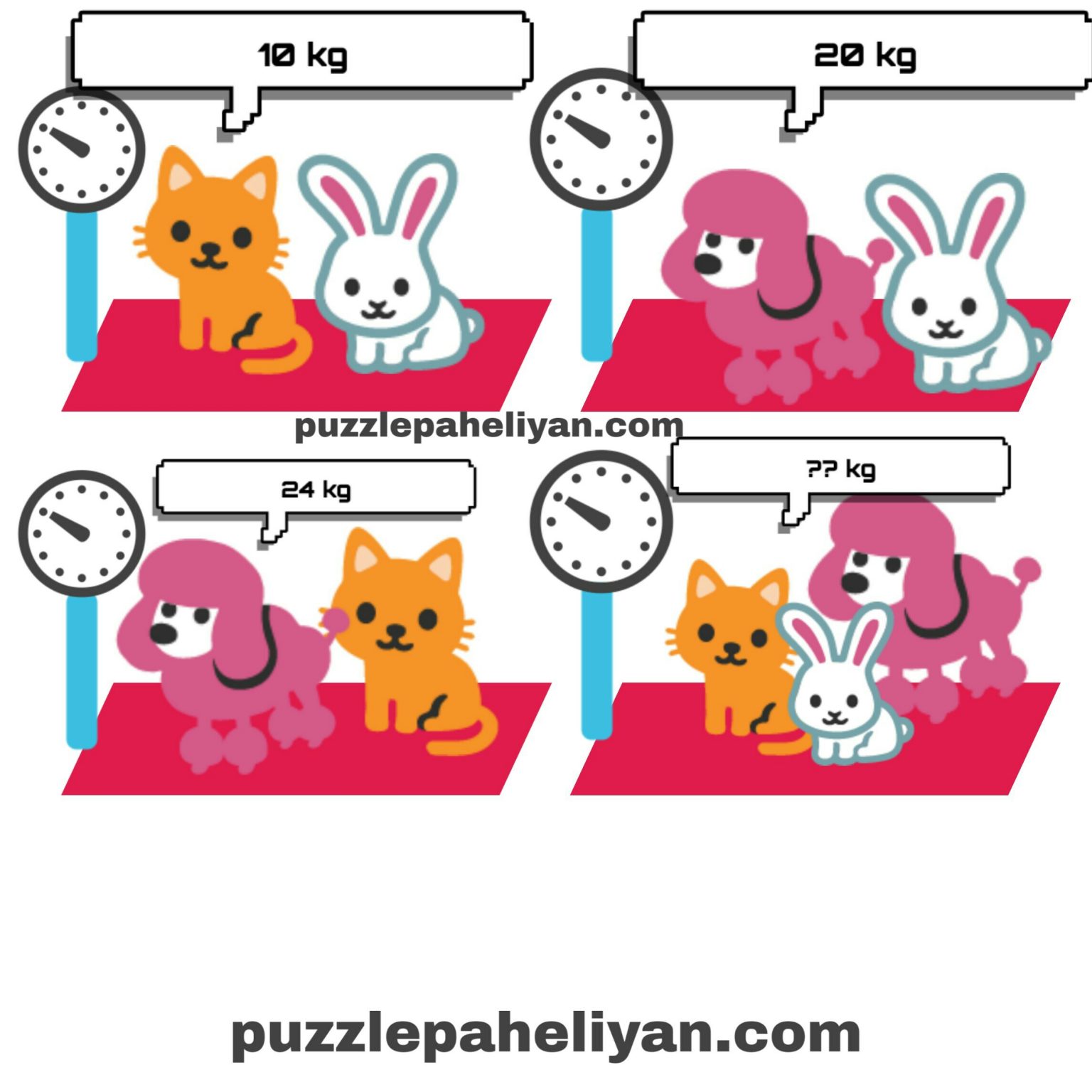 Picture Puzzle And Riddles With Answers [Best] - Puzzle Paheliyan