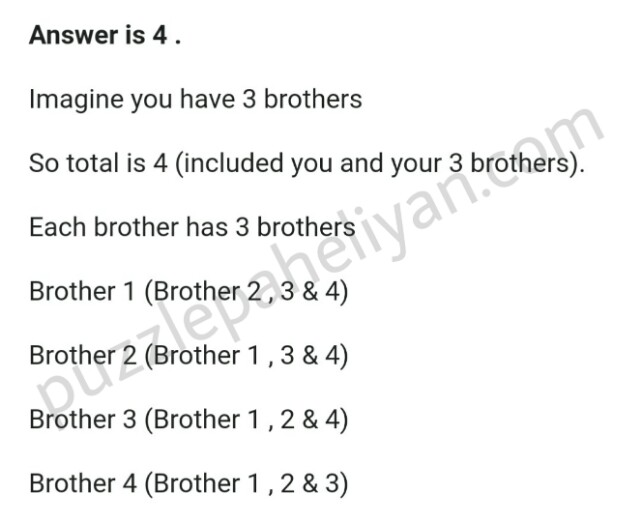 I Have 3 Brothers And Each Brother Has 3 Brothers Riddle - Puzzle Paheliyan