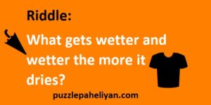 What Gets Wetter And Wetter The More It Dries Riddle - Puzzle Paheliyan